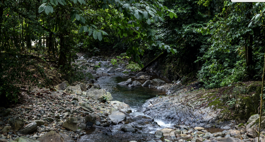 La Maná, un paraíso biodiverso y arqueológico único - Código Vidrio